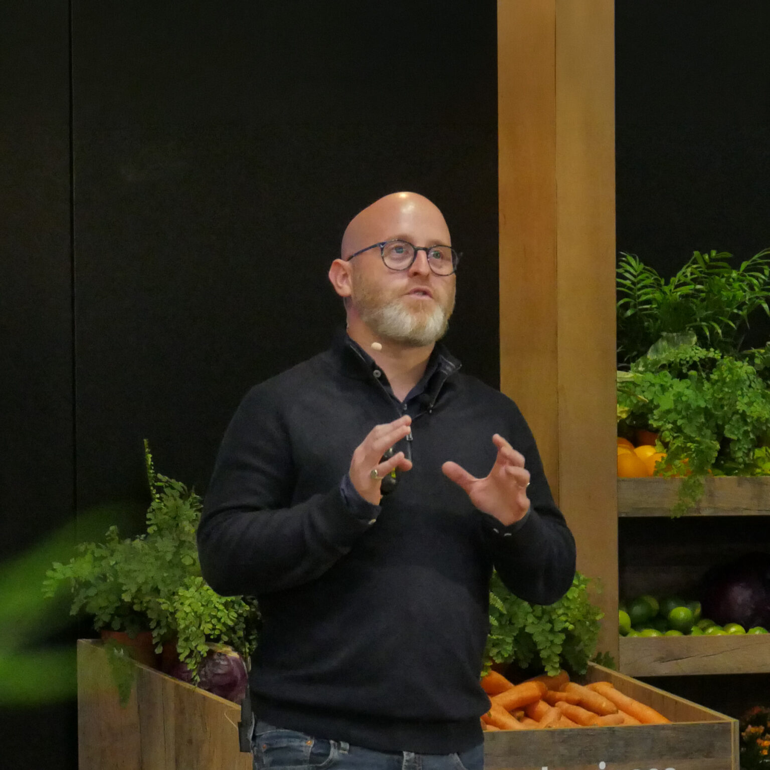 Hayloft Plants: The £7m plant Brand Going Social-First | The Evergreen ...